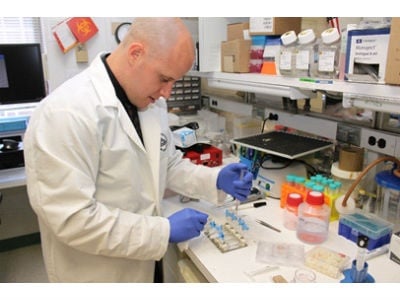NEI Scientist Receives Grant for Genetic Eye Disorder Research ...