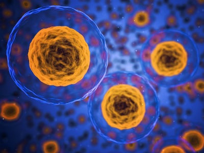 AGTC, Bionic Sight Collaborate on Optogenetic Therapy and Device for ...