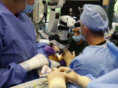 MD Spotlight: Dr. William Wiley | ophthalmologyweb.com