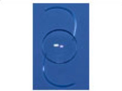 3 Piece PMMA Intraocular Lenses (IOL) | OphthalmologyWeb: The Ultimate ...