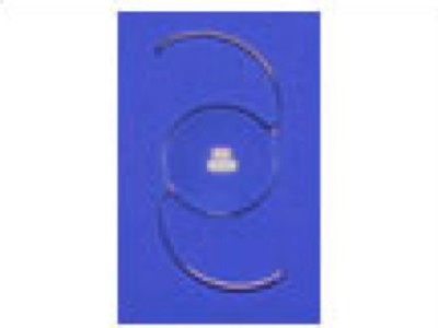 1 Piece PMMA Intraocular Lenses (IOL) | OphthalmologyWeb: The Ultimate ...