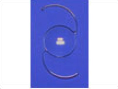 1 Piece PMMA Intraocular Lenses (IOL) | OphthalmologyWeb: The Ultimate ...